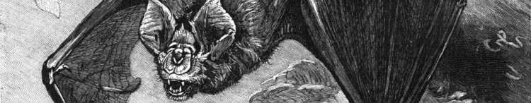Horseshoe bat hybrids - Mammalian Hybrids